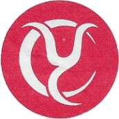 Yusuf Cavak - Türkrock & Blues, Türkisch Mann - CAVAK_MUSIC